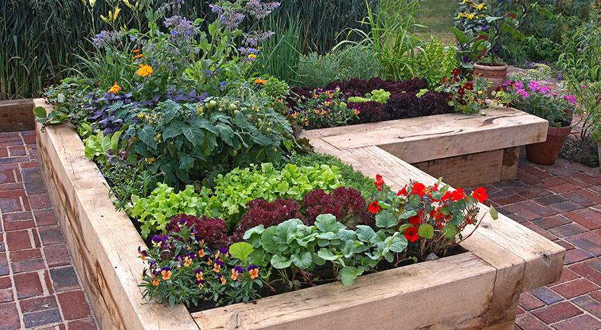15 Home Edible Garden Ideas Worth a Look | SharonSable
