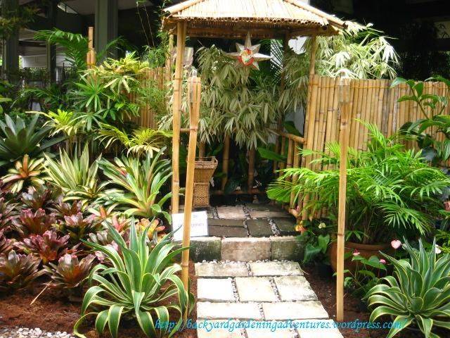 17 Bamboo Garden Phillipians Ideas You Cannot Miss | SharonSable