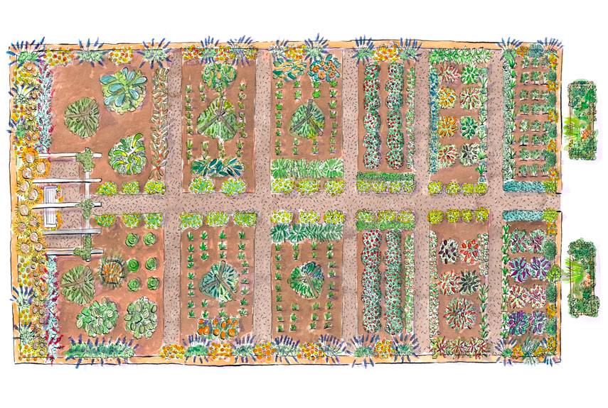 17 Garden Plot Layout Ideas To Try This Year | SharonSable
