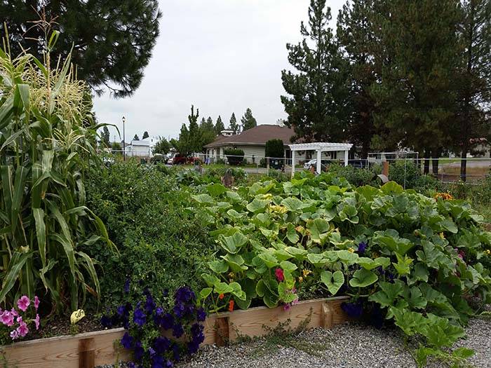 20 Community Garden Plot Sizes Ideas You Should Look | SharonSable