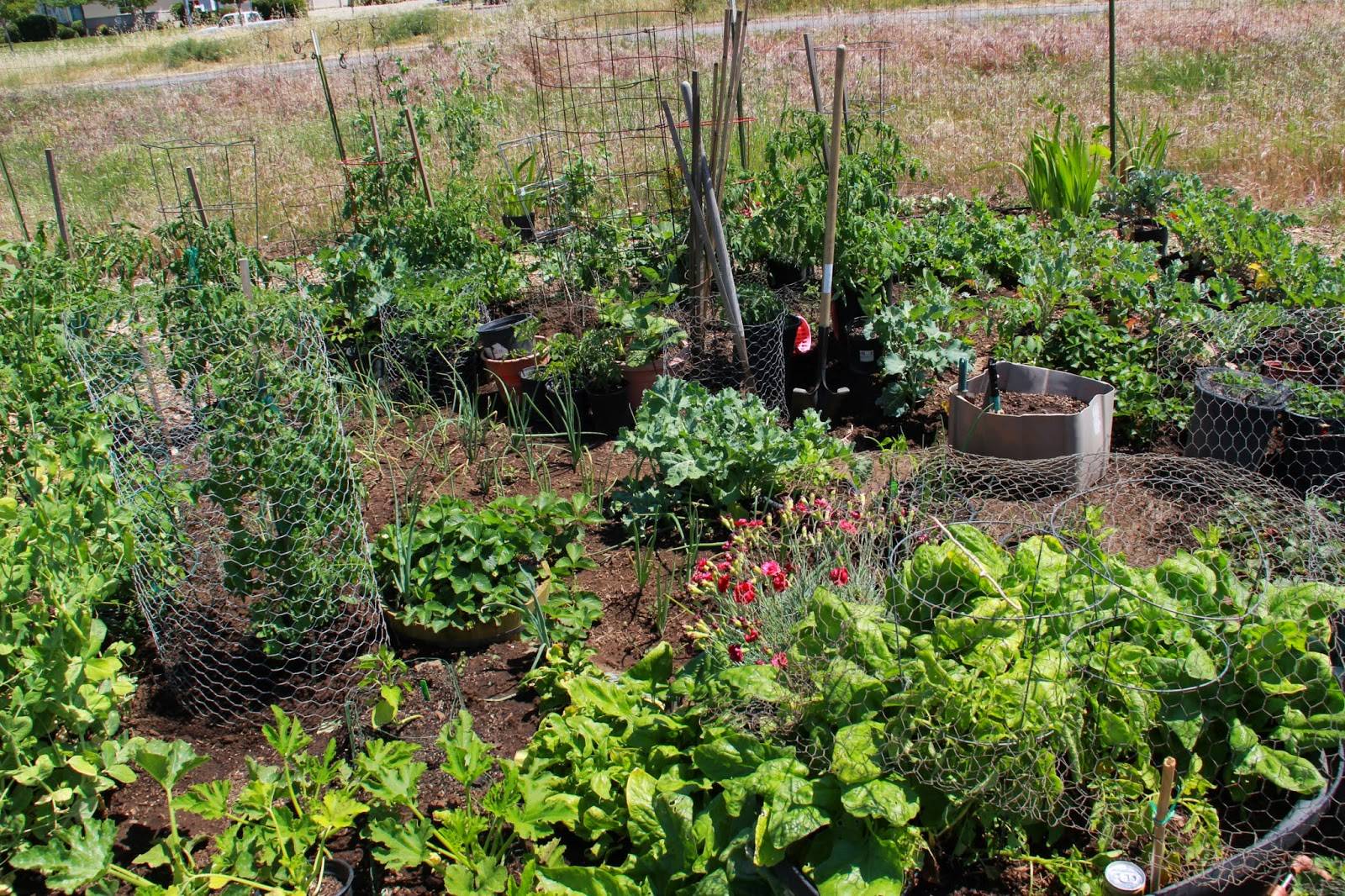 22 Community Garden Layout Examples Ideas Worth to Check | SharonSable