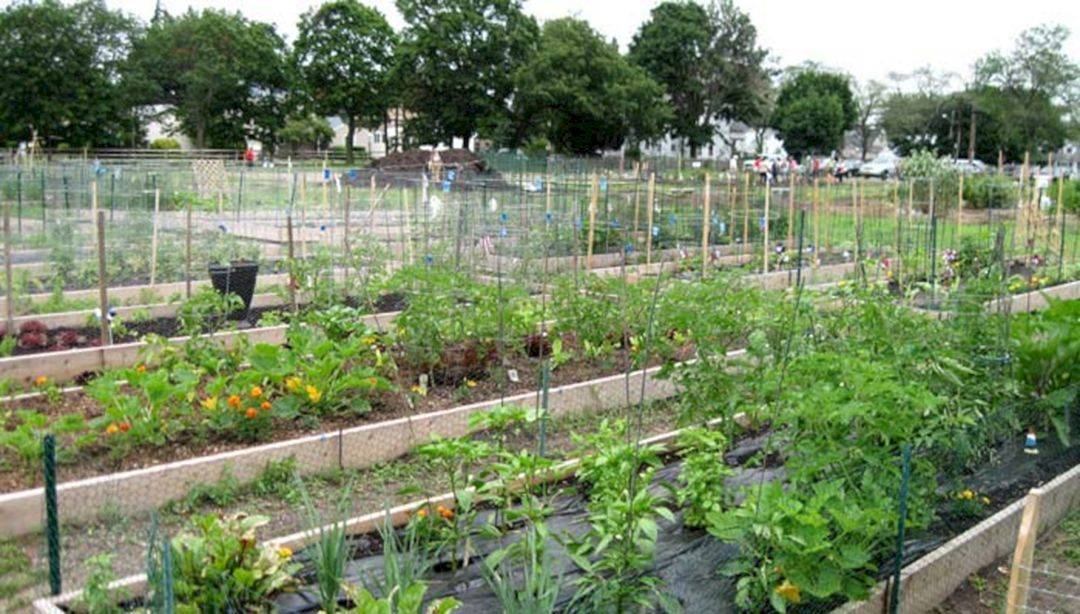 22 Community Garden Layout Examples Ideas Worth to Check | SharonSable