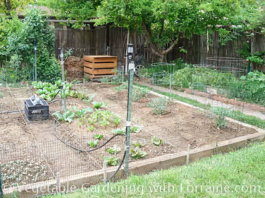 18 Laying Out a Garden Plot Ideas You Should Check | SharonSable