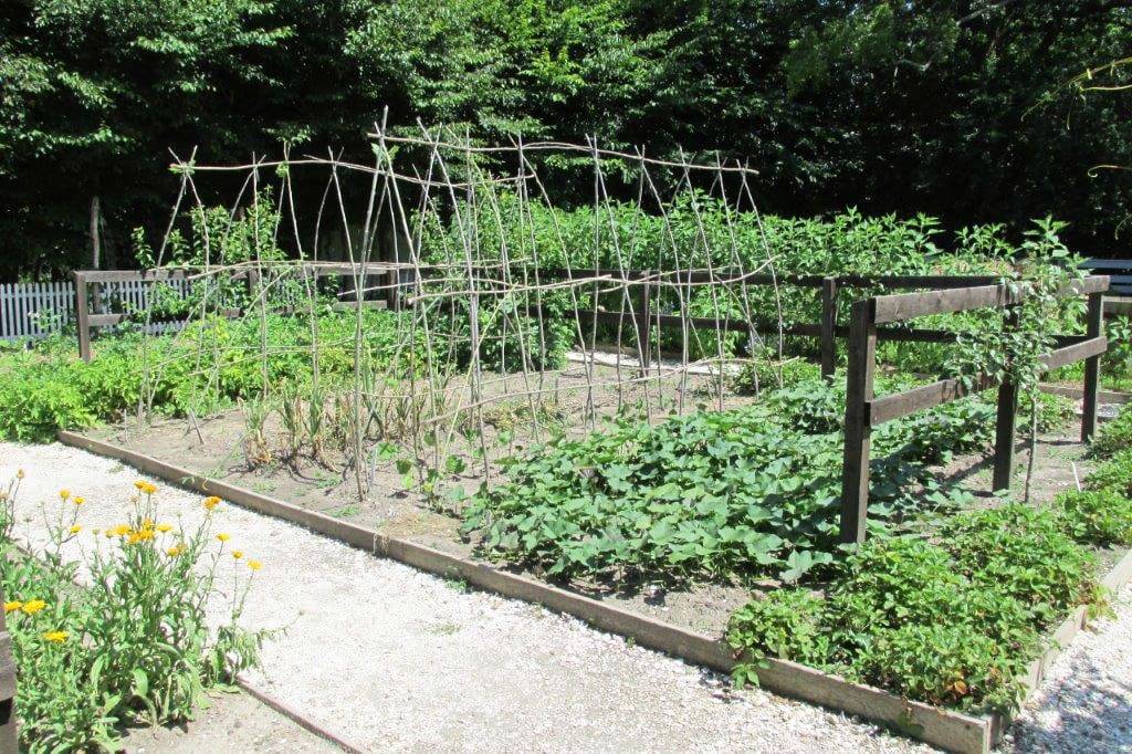 18 Laying Out a Garden Plot Ideas You Should Check | SharonSable