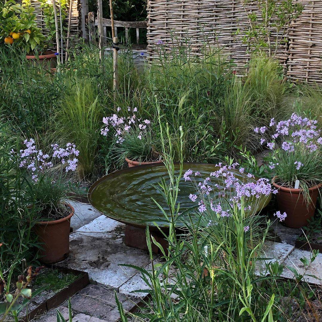 24 Plotting a Garden Ideas To Consider | SharonSable 24 Plotting a Garden Ideas To Consider | SharonSable