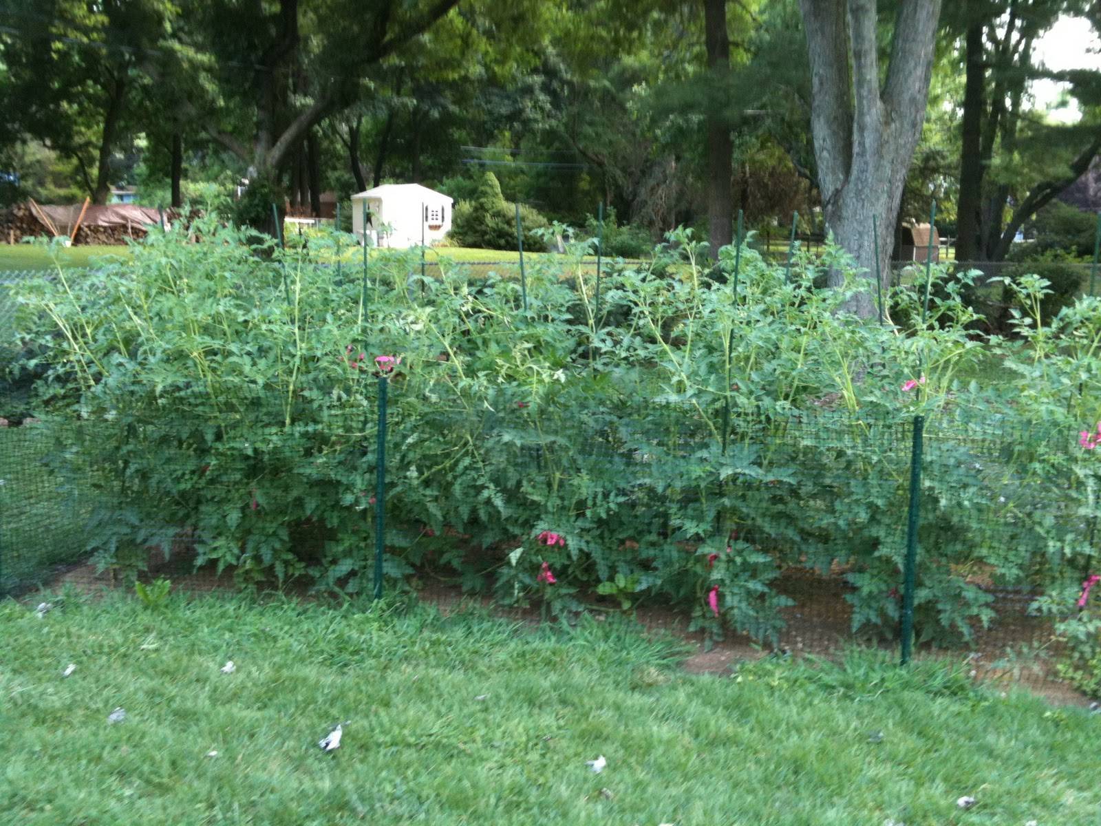 22 Designing Garden Plots Ideas You Must Look | SharonSable