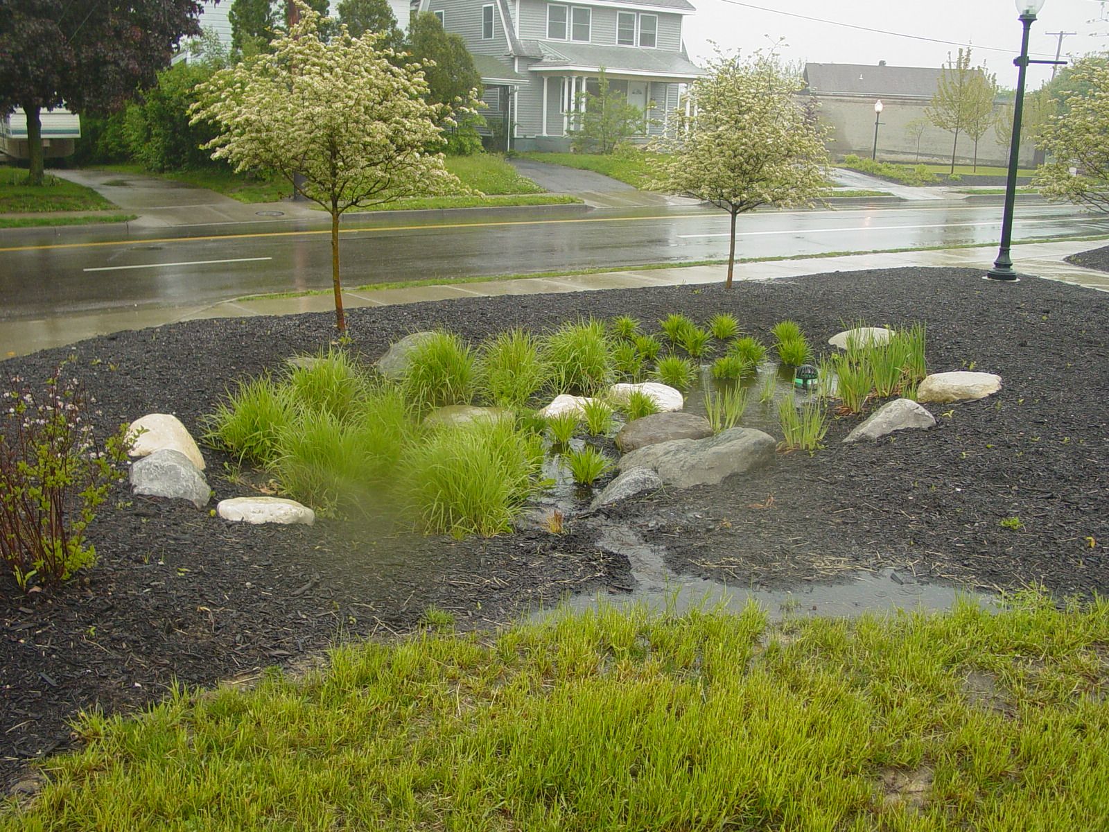 12 Rain Garden Landscape Design Ideas To Try This Year | SharonSable