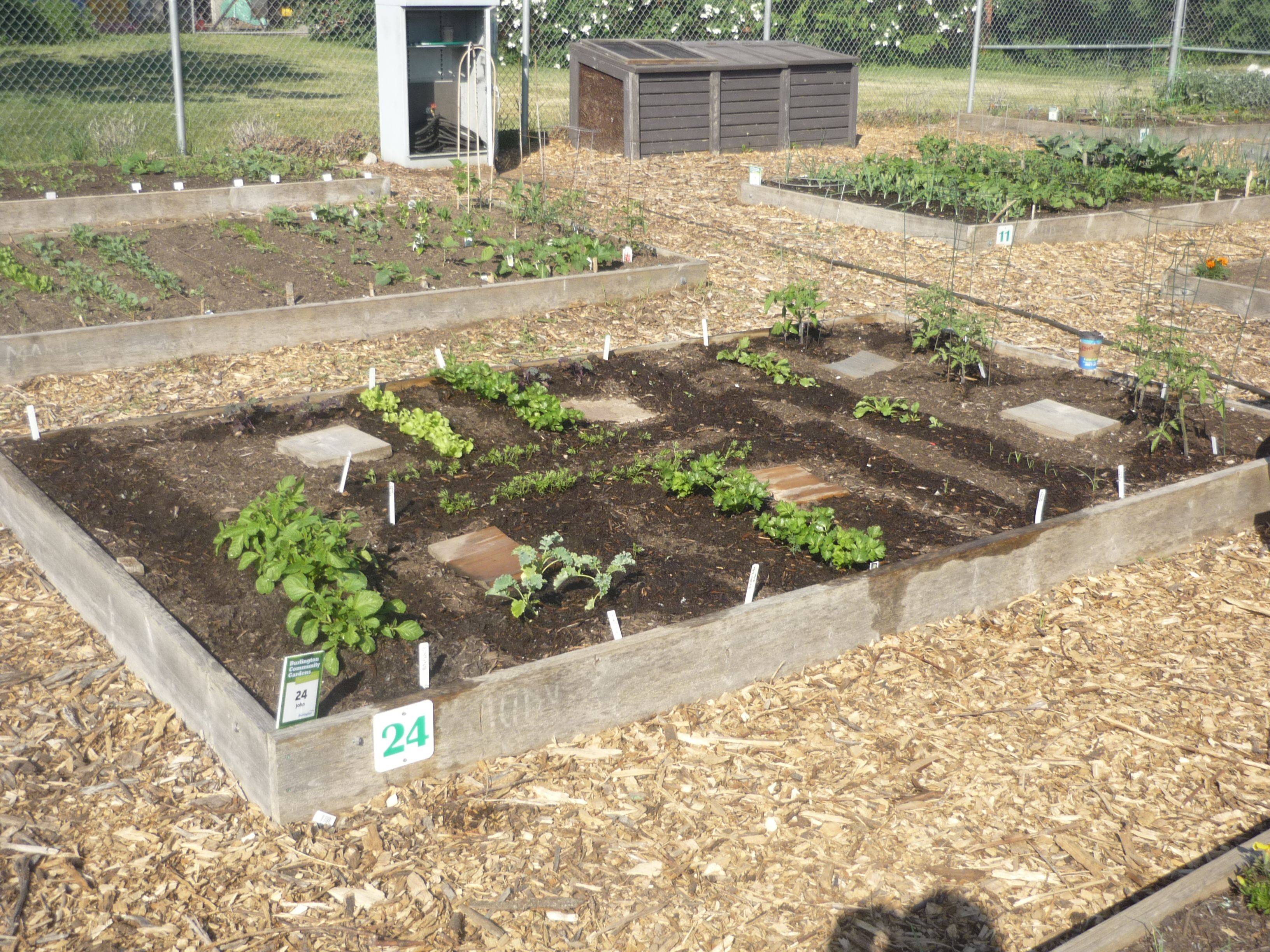 23 Community Garden Plots Ideas To Consider | SharonSable 23 Community Garden Plots Ideas To Consider | SharonSable
