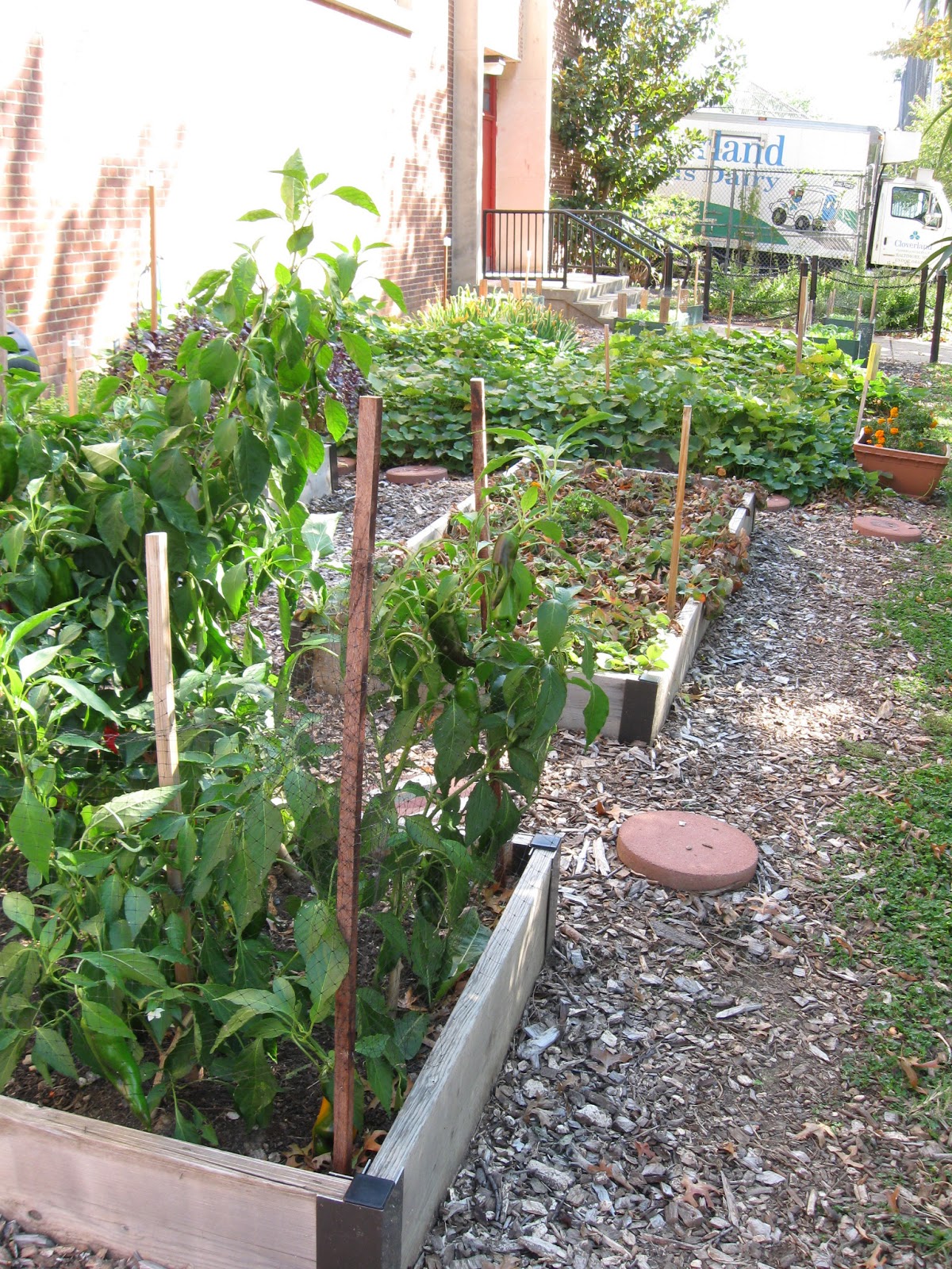 23 Community Garden Plots Ideas To Consider | SharonSable