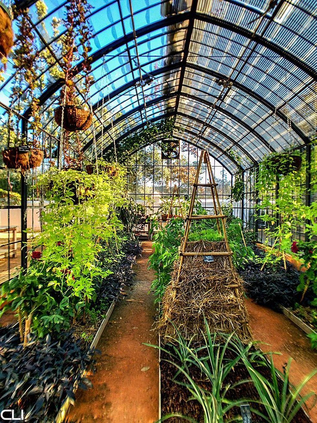 15 Community Garden Greenhouse Ideas You Must Look | SharonSable