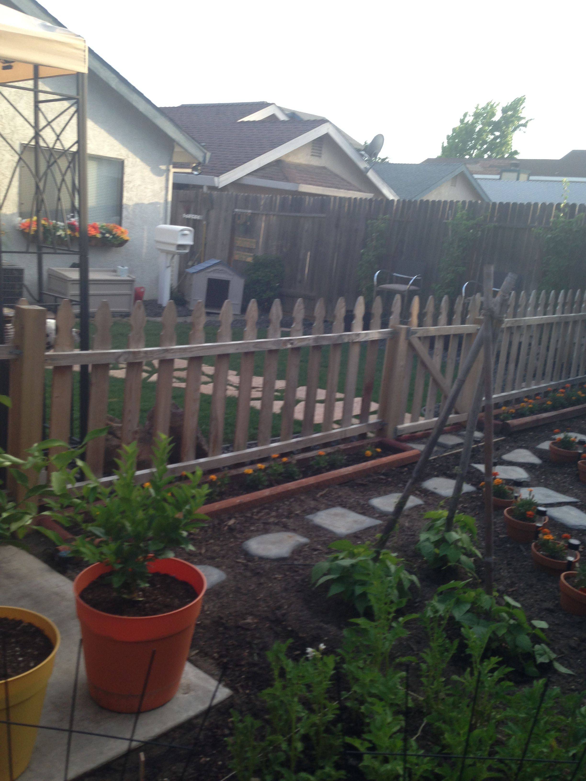 23 Community Garden Fence Ideas To Try This Year | SharonSable