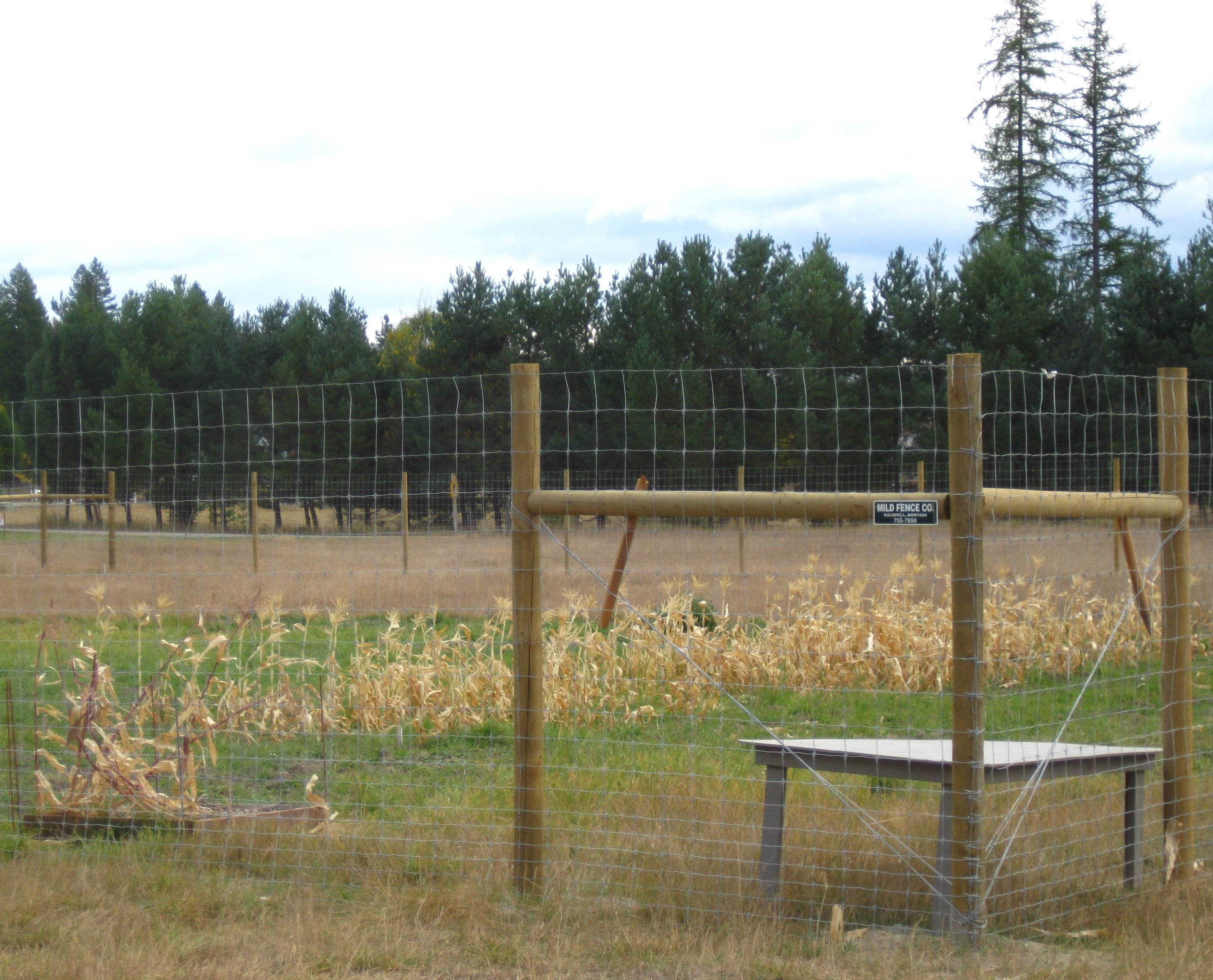 23 Community Garden Fence Ideas To Try This Year | SharonSable
