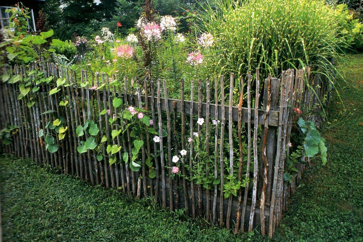 23 Community Garden Fence Ideas To Try This Year | SharonSable