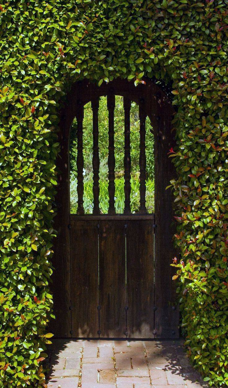 23 Secret Garden Door Gate Ideas You Should Look | SharonSable