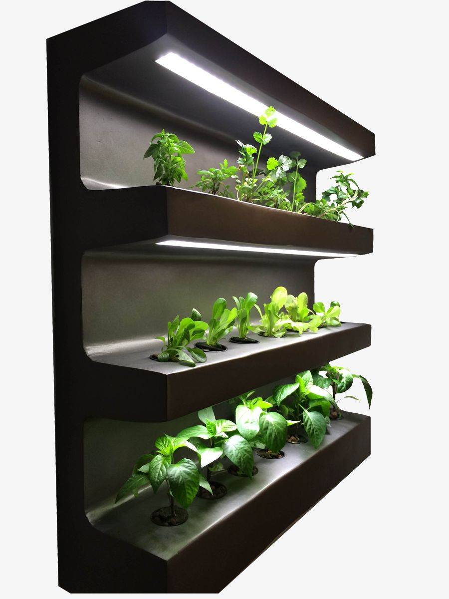 22 Hydroponic Smart Garden Ideas To Try This Year | SharonSable