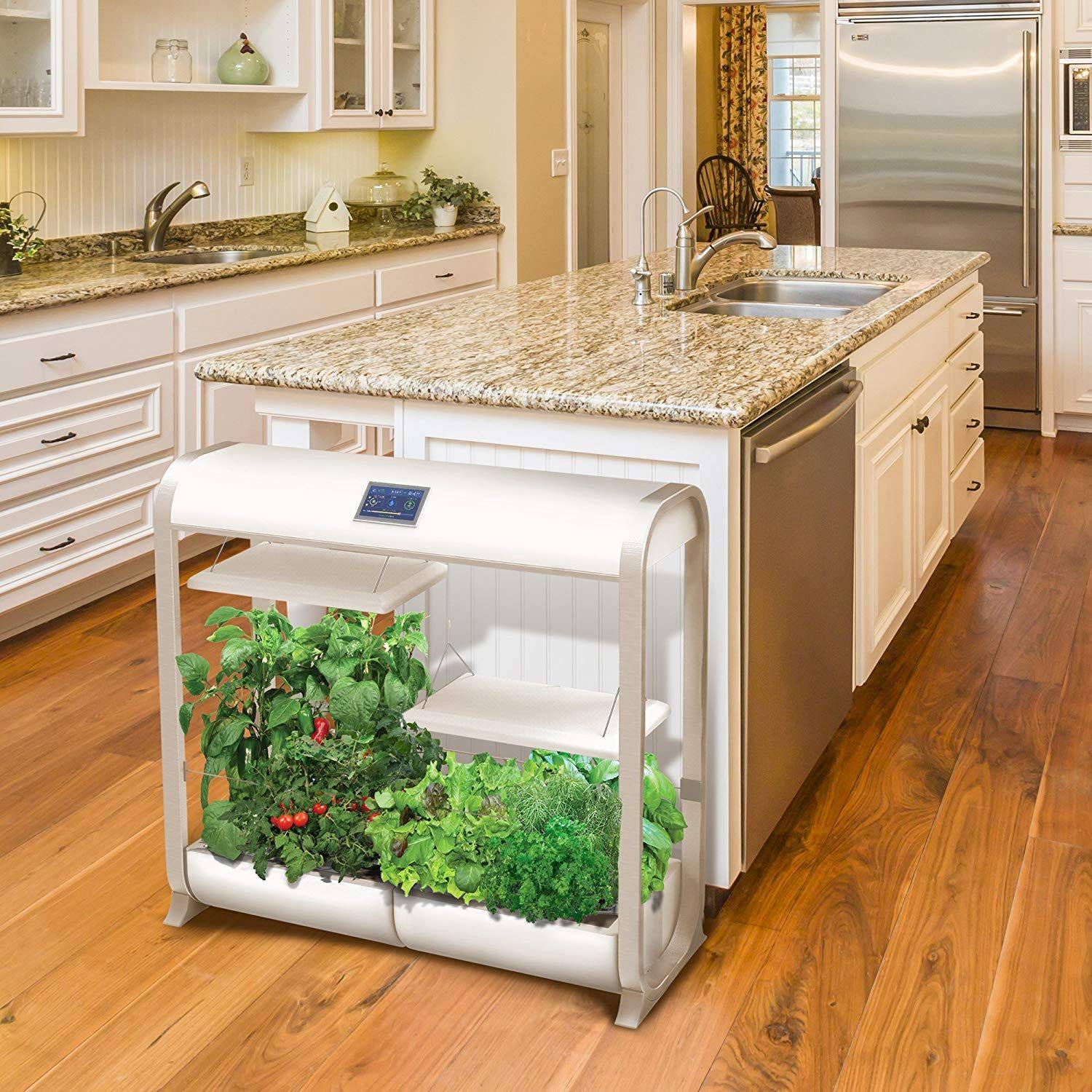 22 Hydroponic Smart Garden Ideas To Try This Year | SharonSable