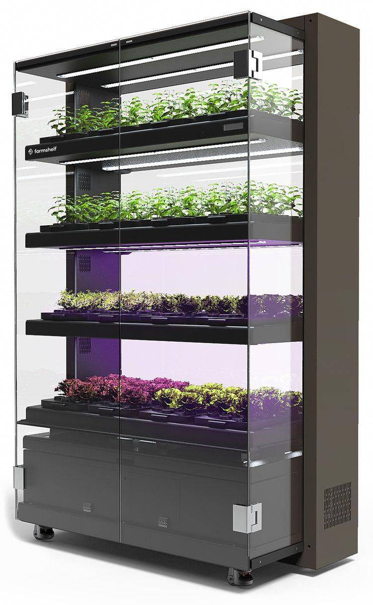 22 Hydroponic Smart Garden Ideas To Try This Year | SharonSable