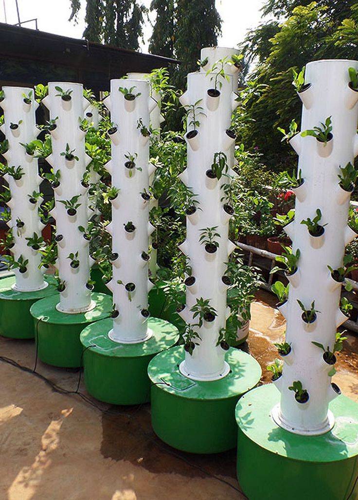 22 Vertical Hydroponic Gardening System Ideas To Consider | SharonSable