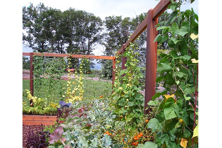 21 Vertical Garden Screen Outdoor Ideas You Should Look | SharonSable