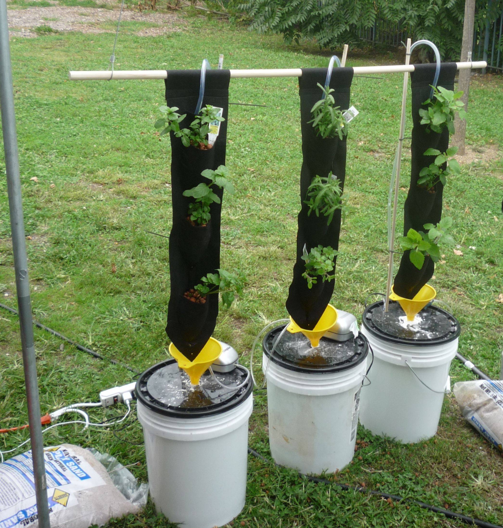 24 DIY Hydroponic Gardening Ideas Worth a Look | SharonSable