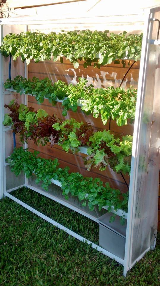25 DIY Floating Hydroponic Garden Ideas Worth to Check | SharonSable