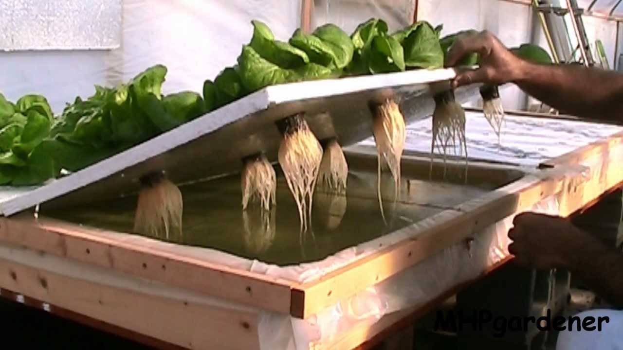 25 DIY Floating Hydroponic Garden Ideas Worth to Check | SharonSable