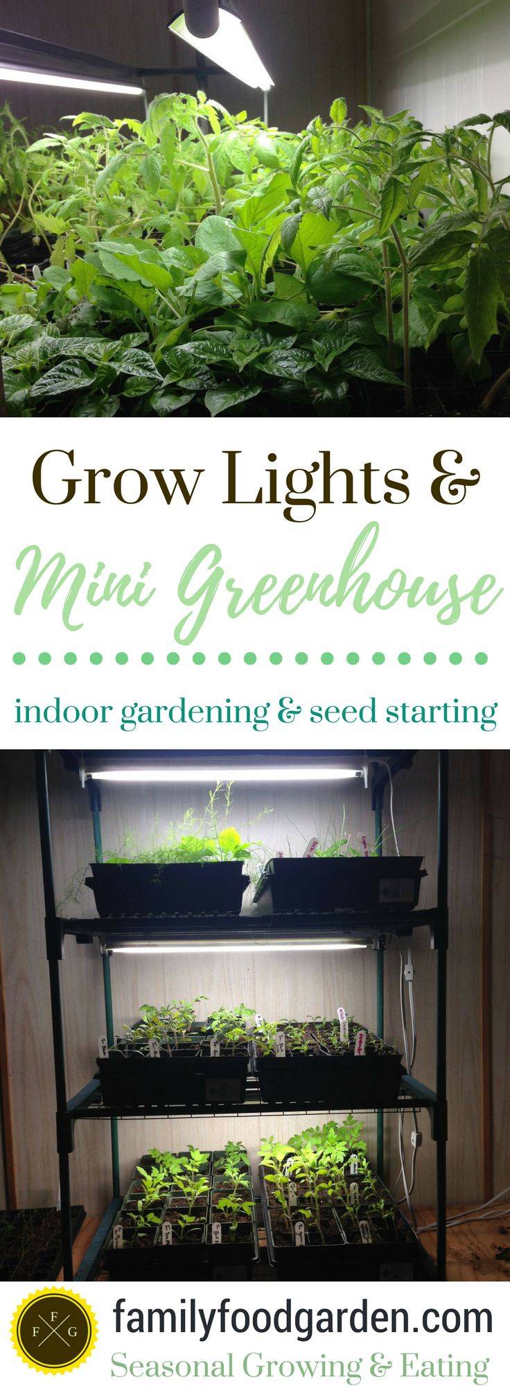 17 Grow Light Garden Ideas Worth a Look | SharonSable