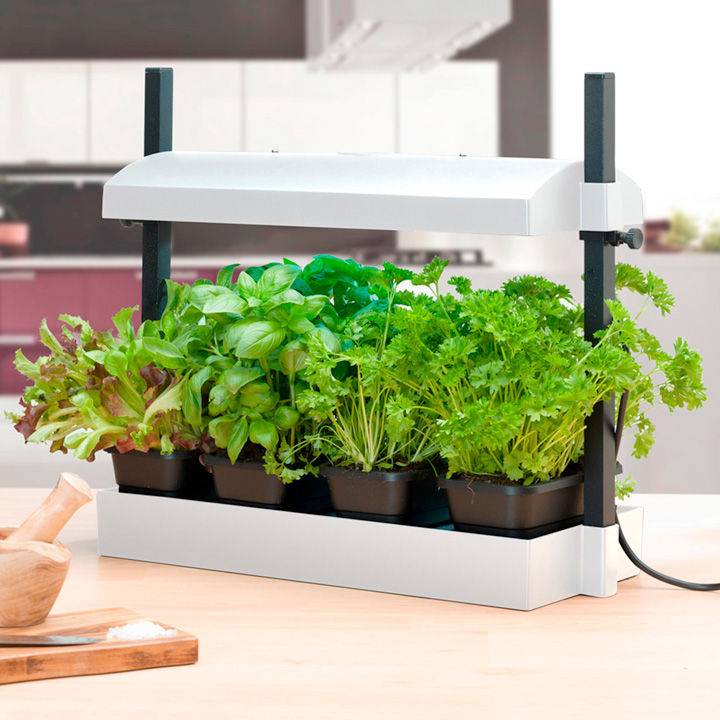 17 Grow Light Garden Ideas Worth a Look | SharonSable