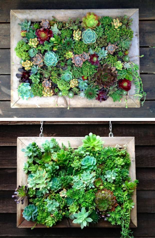 20 Make Vertical Garden Ideas You Should Check | SharonSable
