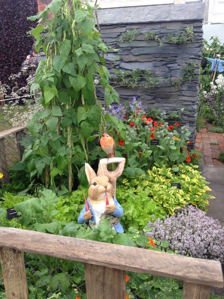 26 Peter Rabbit Garden Decor Ideas To Consider | SharonSable