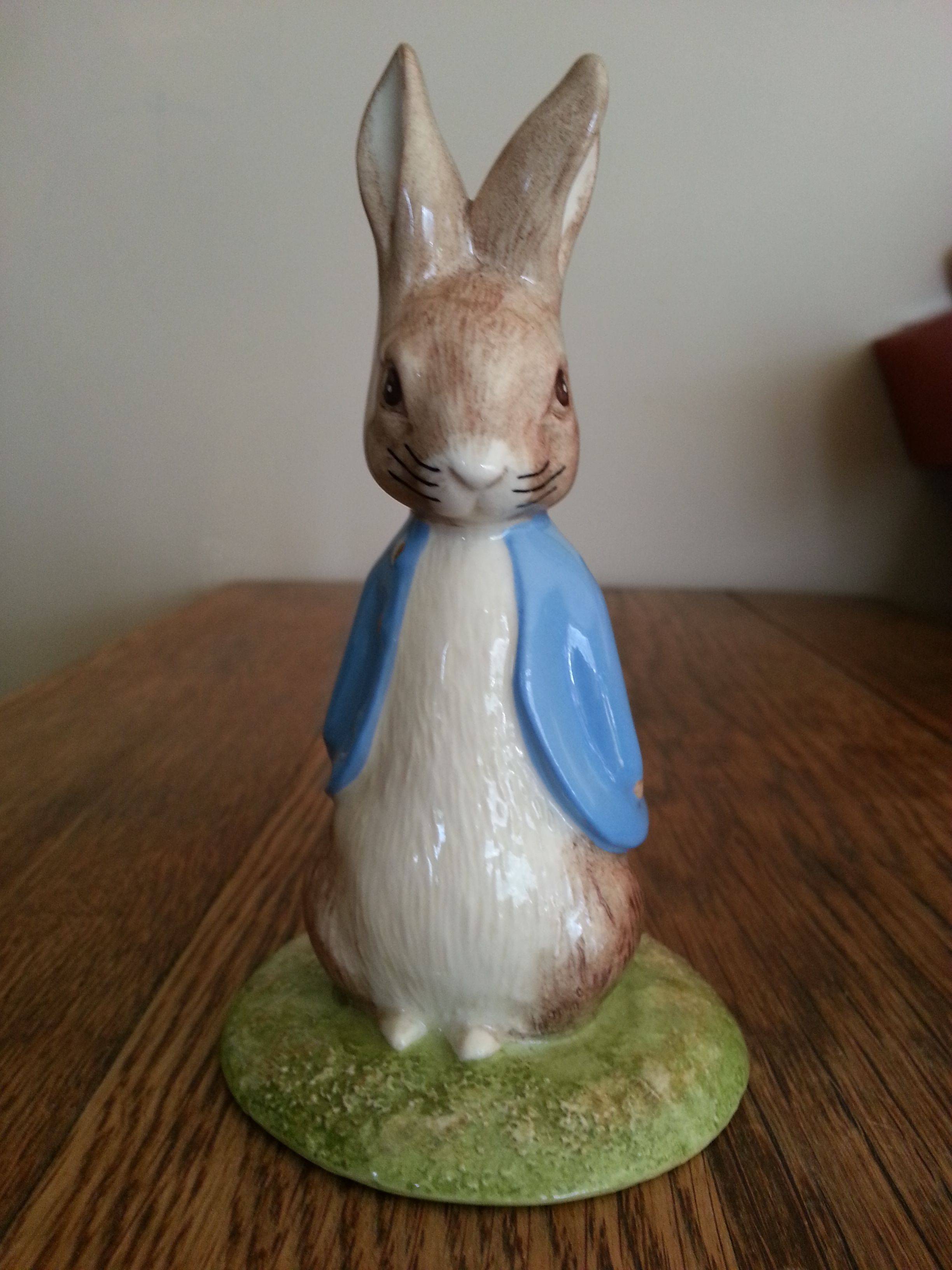26 Peter Rabbit Garden Decor Ideas To Consider | SharonSable