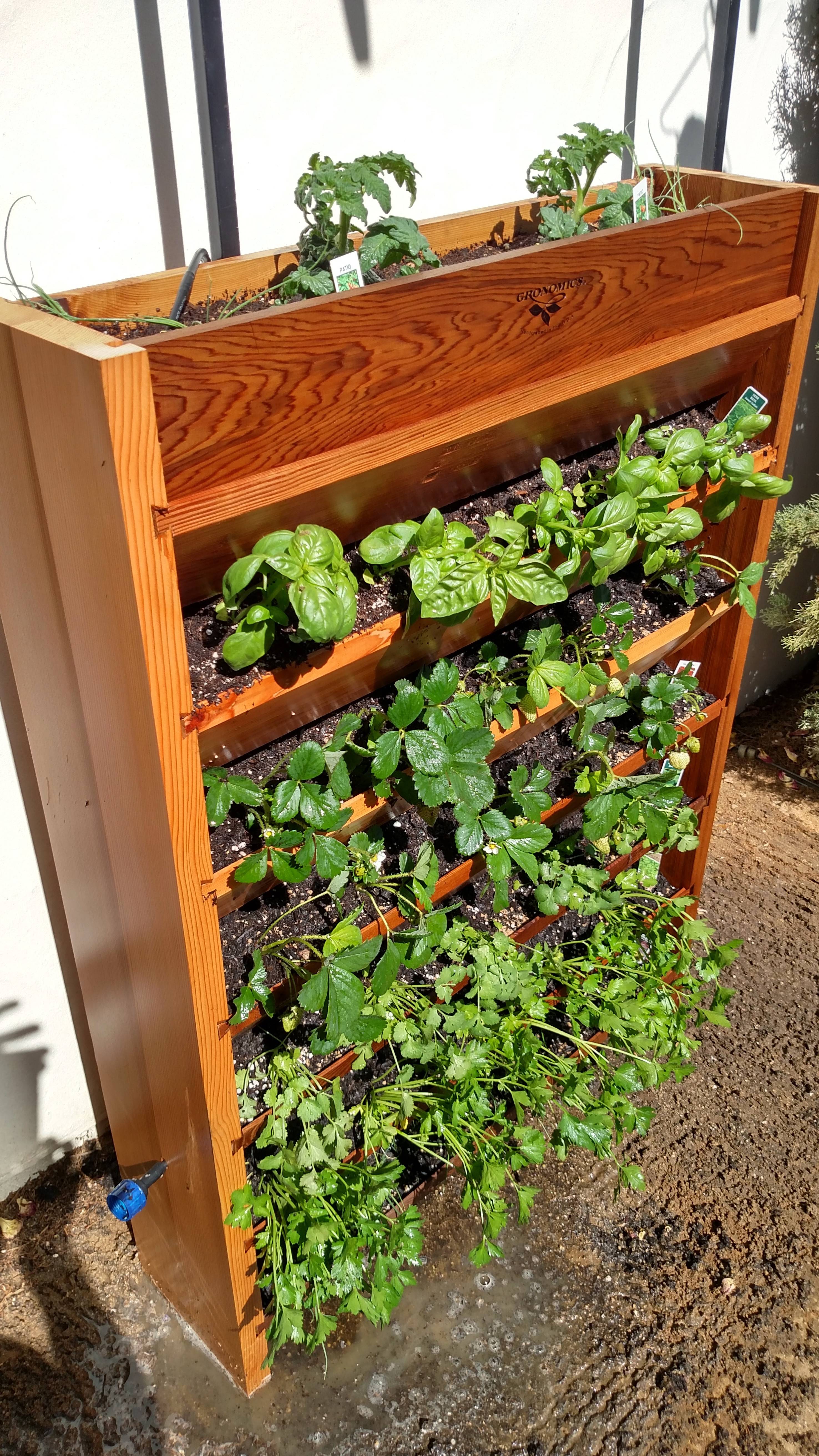 22 Vertical Hydroponic Garden Kits Ideas Worth a Look | SharonSable