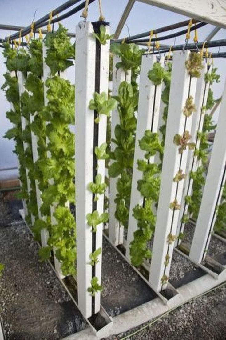 22 Hydroponic Solar Vertical Garden Ideas You Should Check | SharonSable
