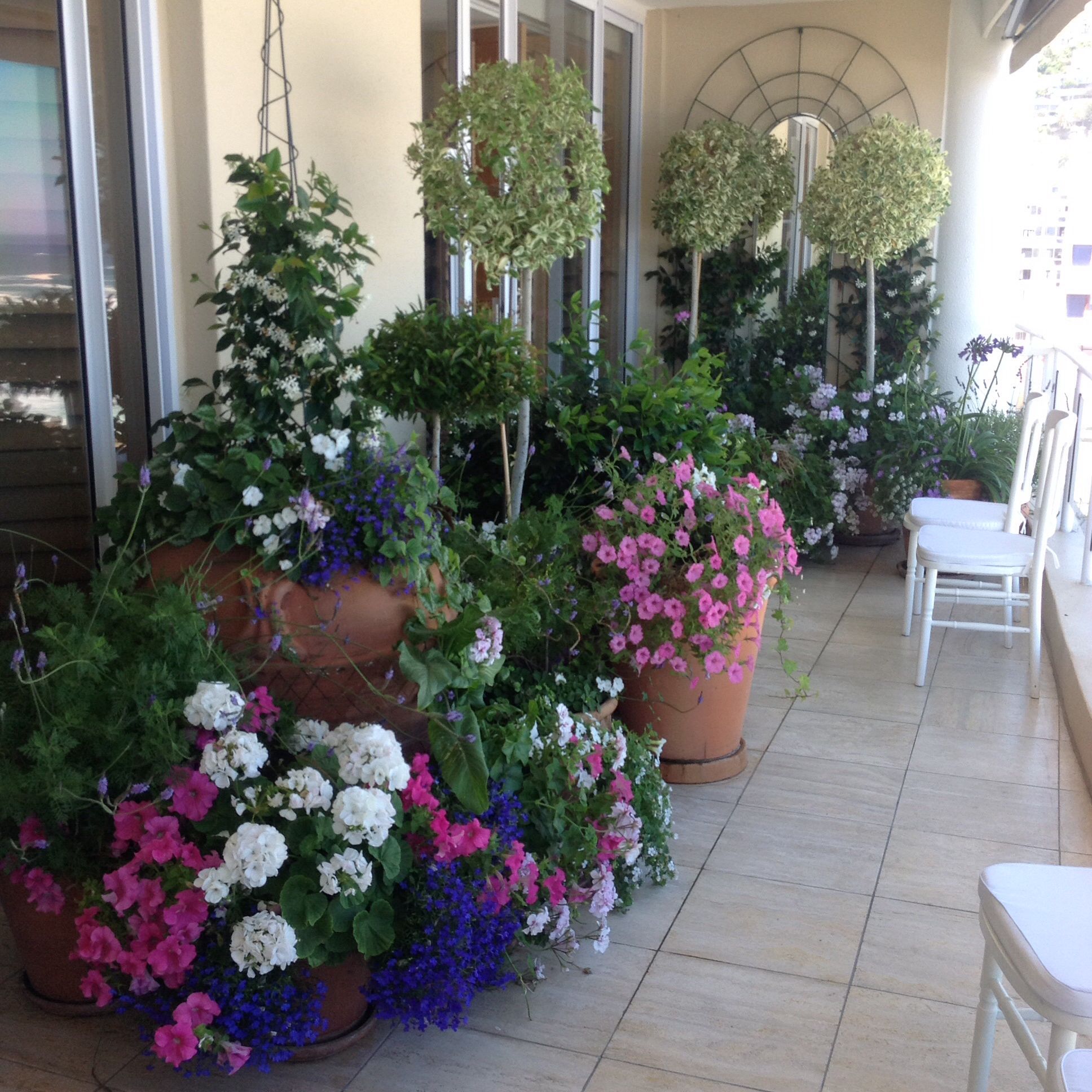 20 Container Gardening for Apartments Ideas You Must Look | SharonSable