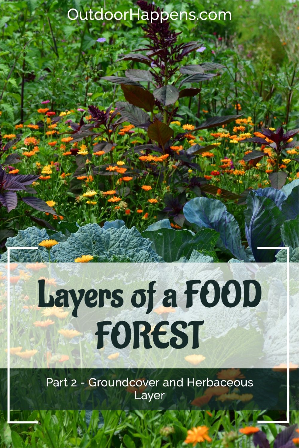 20 Forest Garden Layers Ideas For This Year | SharonSable