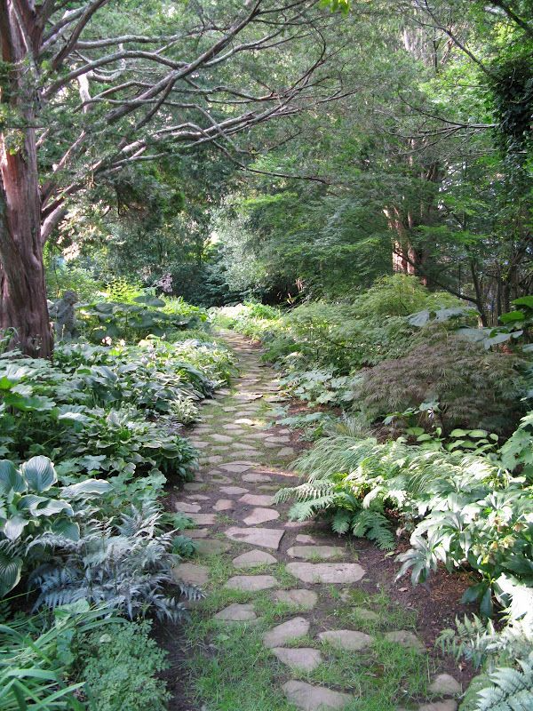 20 Forest Garden Layers Ideas For This Year | SharonSable