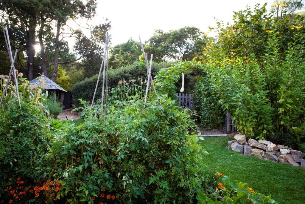 22 Forest Vegetable Garden Ideas You Should Check | SharonSable