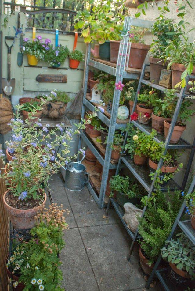 22 Small Space Container Garden Ideas To Try This Year | SharonSable