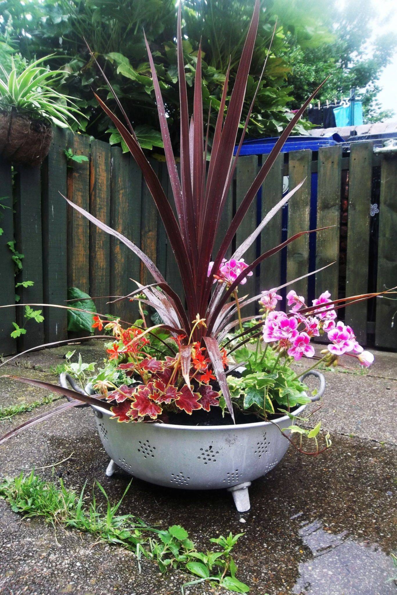 24 Country Container Gardening Ideas You Cannot Miss | SharonSable