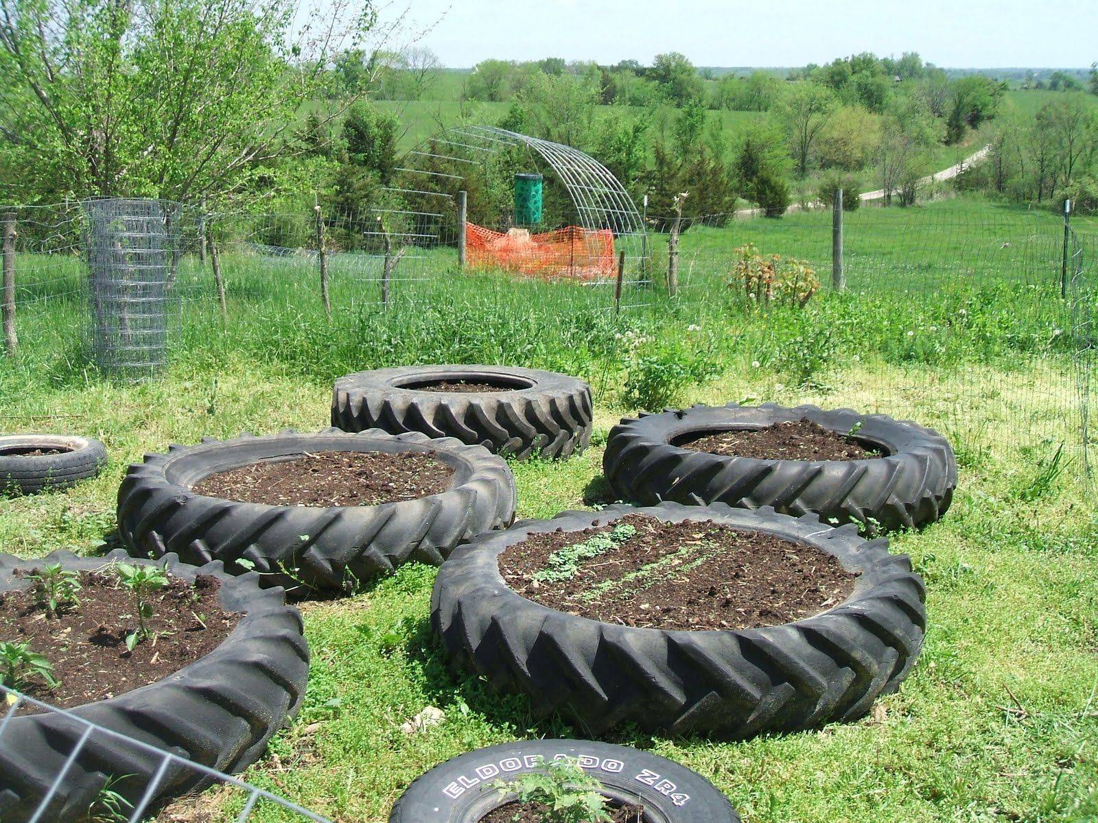 21 Tractor Tire Garden Ideas You Should Check | SharonSable