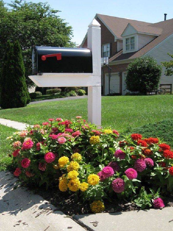 17 Mailbox Flower Planter Garden Ideas Worth a Look | SharonSable