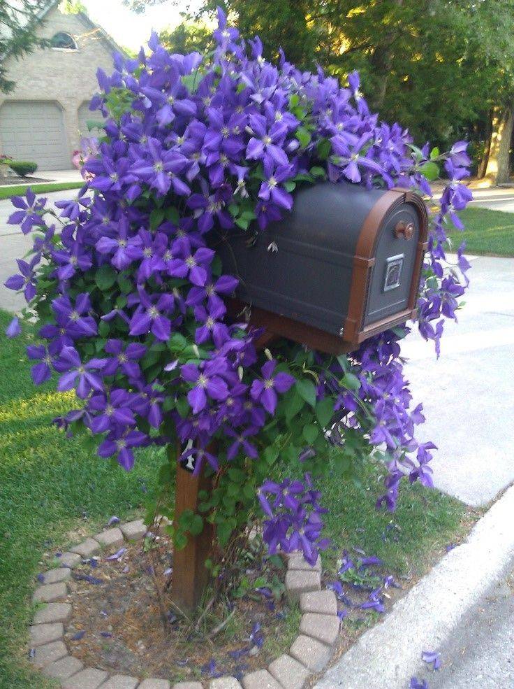 17 Mailbox Flower Planter Garden Ideas Worth a Look | SharonSable
