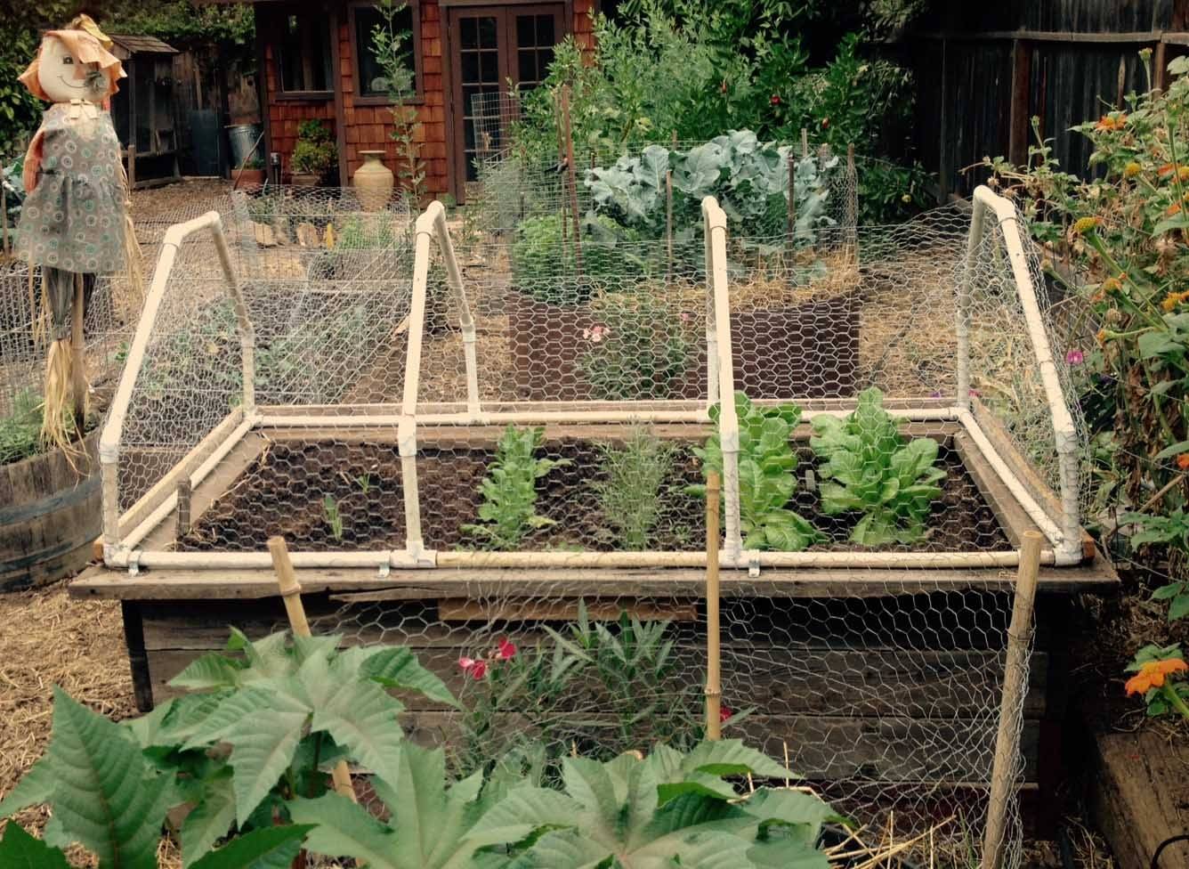 20 Covered Raised Garden Ideas You Should Check | SharonSable