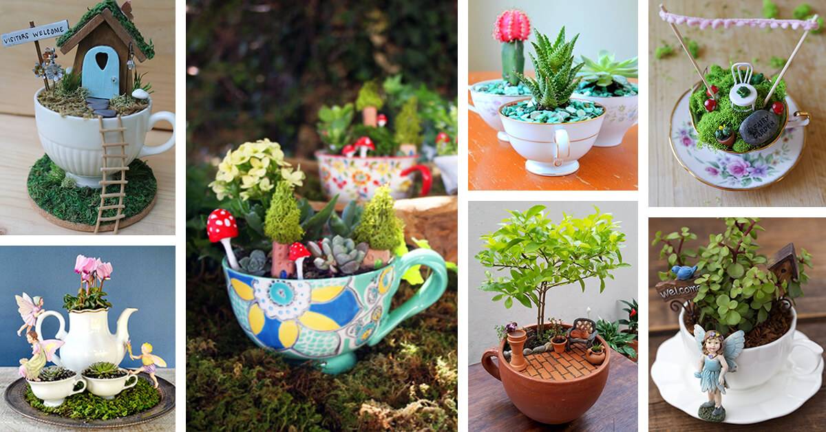 24 Teacup Garden Ideas You Cannot Miss | SharonSable