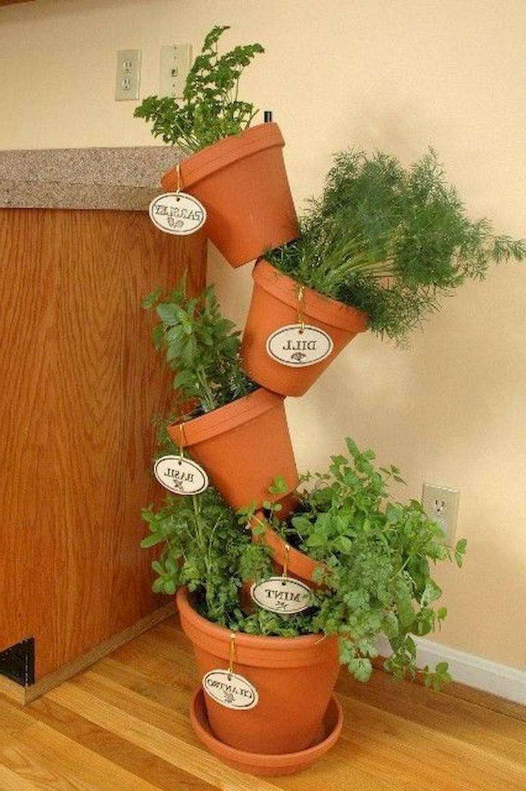 23 Basic Herb Garden Ideas You Cannot Miss | SharonSable