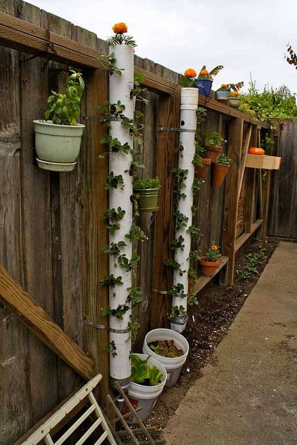 20 PVC Pipe Vegetable Garden Ideas You Must Look | SharonSable