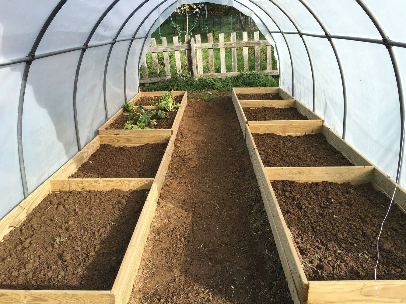 20 PVC Pipe Vegetable Garden Ideas You Must Look | SharonSable