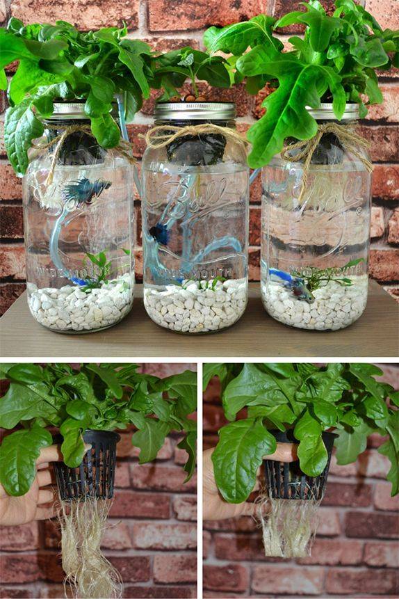 24 DIY Hydroponic Herb Garden Ideas To Consider | SharonSable