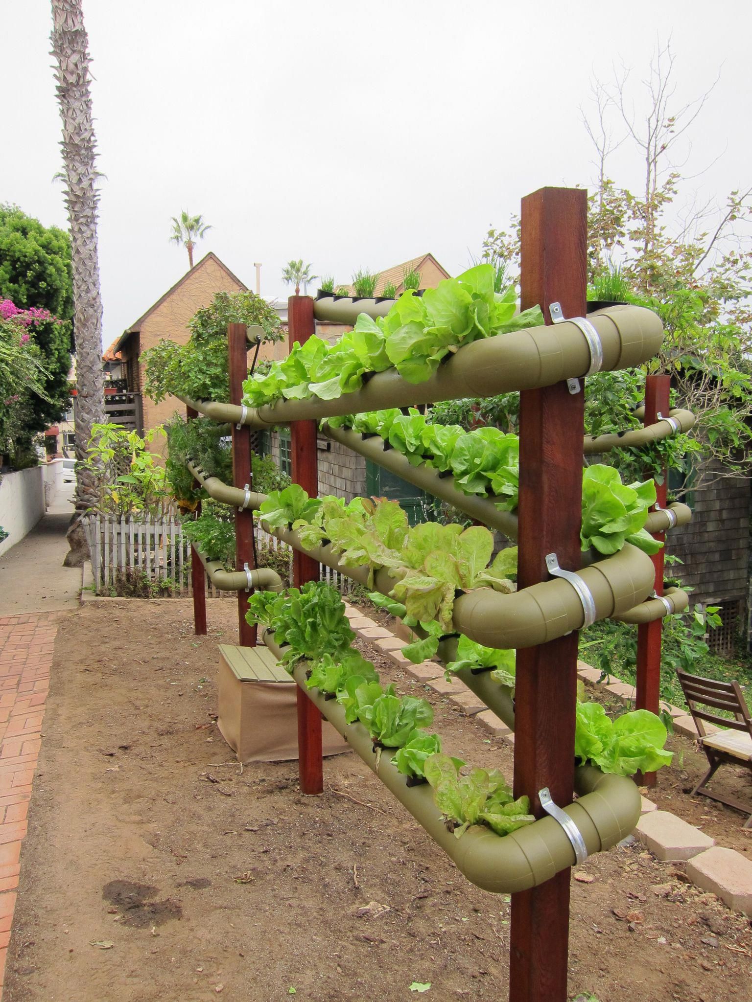 16 4 PVC Pipe Hydroponic Garden Ideas You Should Look | SharonSable
