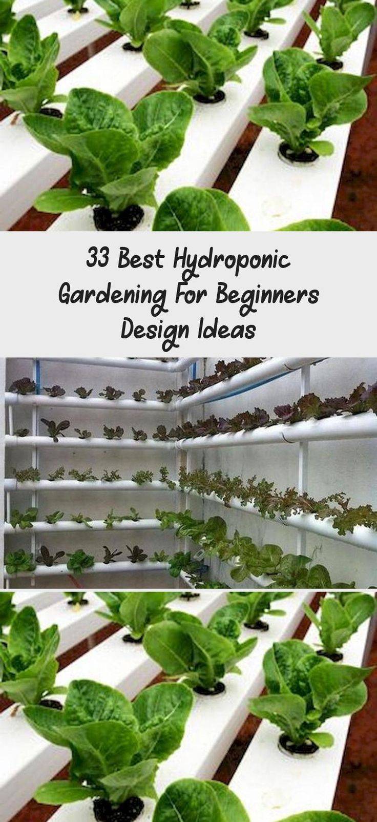 23 Hydroponic Garden Design Ideas For This Year | SharonSable